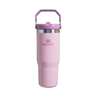 Stanley | Kitchen | Stanley 3 Oz Stainless Steel Iceflow Flip Straw ...